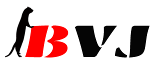 B V J｜マーシャルフェレット正規代理店